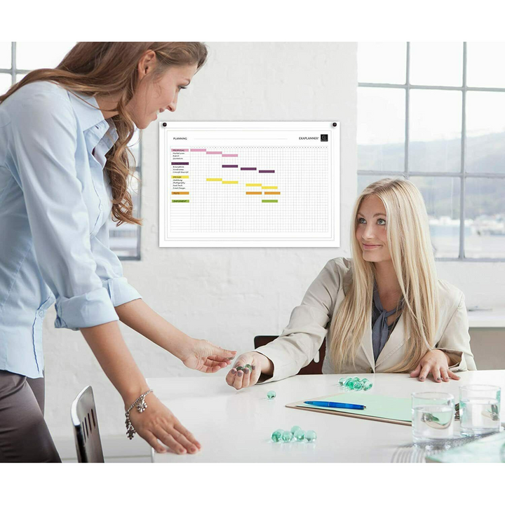 Exaplanner Project Management Magnetic Wall Planner | Seller Vision